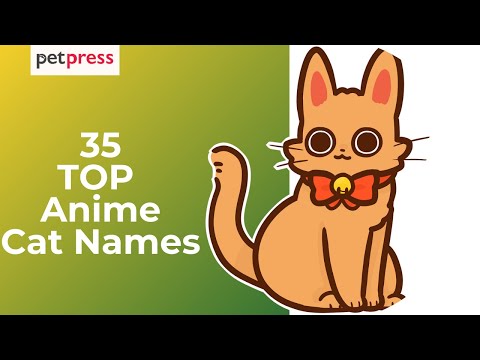 TOP 35 Anime Inspired Cat Names | PetPress