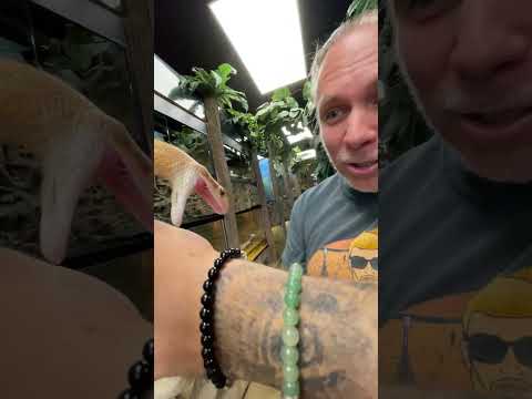 My Pet Snake "Jimmy" is NOT Happy...