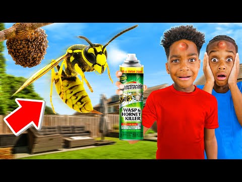 FIGHTING A KILLER BEE IN OUR BACKYARD!!