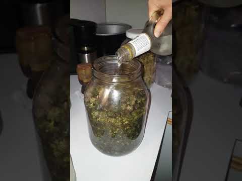 How to make cannabis oil or RSO 3 parts total part 3