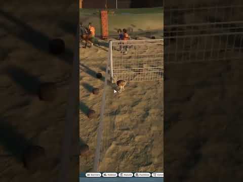 Escaped Animal Causes Chaos (Funny) - Planet Zoo