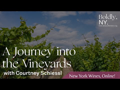 A Journey into the Vineyards with Courtney Schiessl