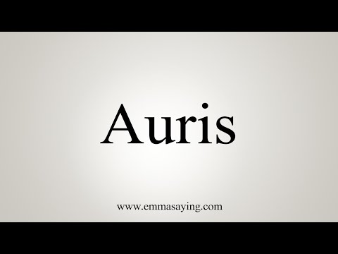 How To Say Auris