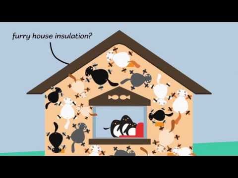 The nature of insulation