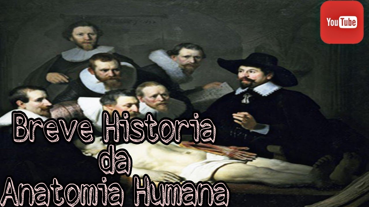 BREVE História da Anatomia Humana