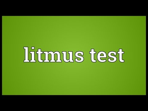 Litmus test Meaning