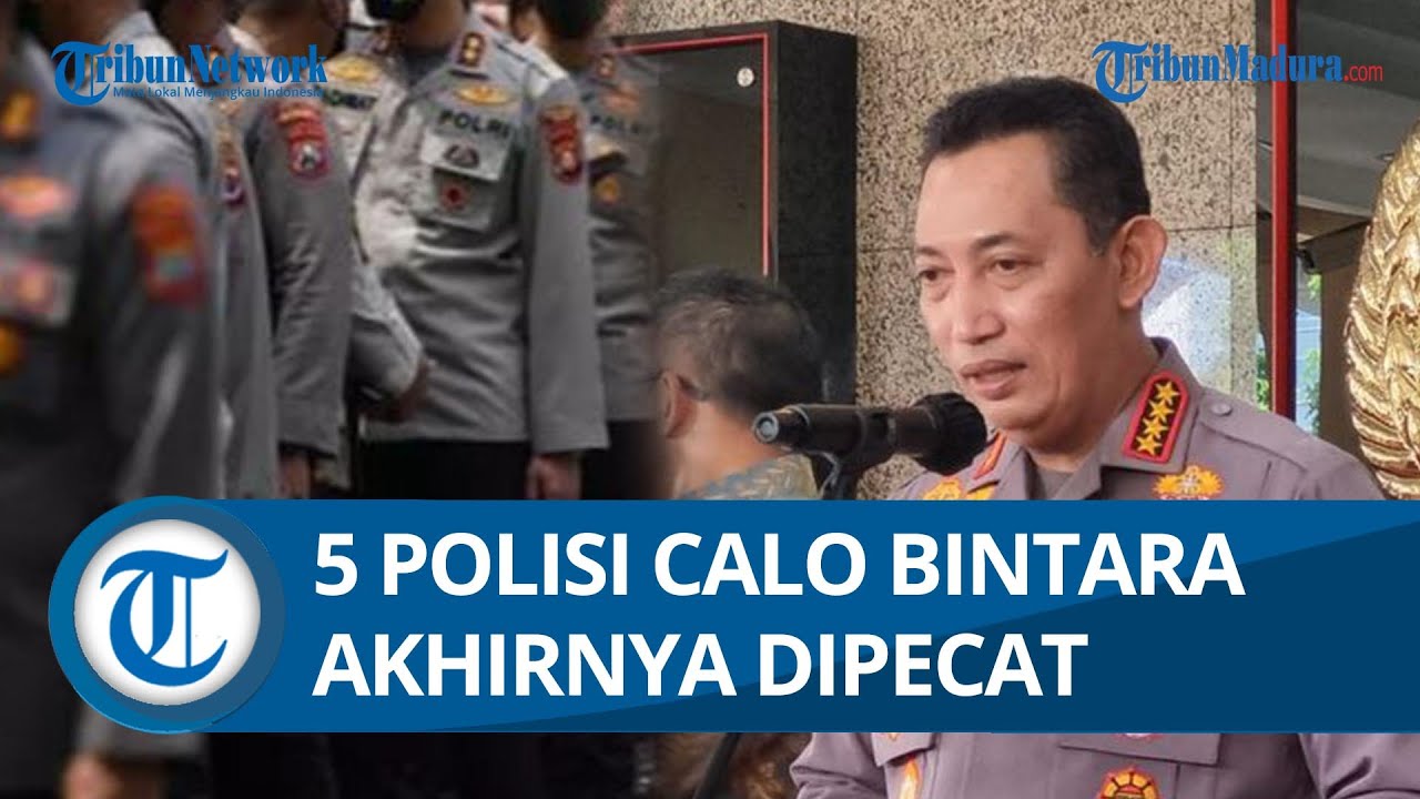 5 Polisi yang Jadi Calo Penerimaan Bintara Akhirnya Dipecat seusai ... 5 Polisi yang Jadi Calo Penerimaan Bintara Akhirnya Dipecat seusai ...