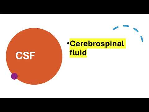 CSF/abbreviations/cerebrospinal fluid/science/medicine/words / tricky words / short form / full form