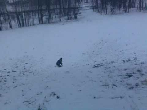 Skoki Ciche (skok bez nart)