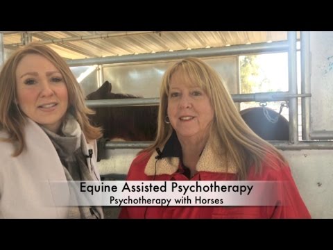 Equine Assisted Psychotherapy-Counseling and Therapy with Horses