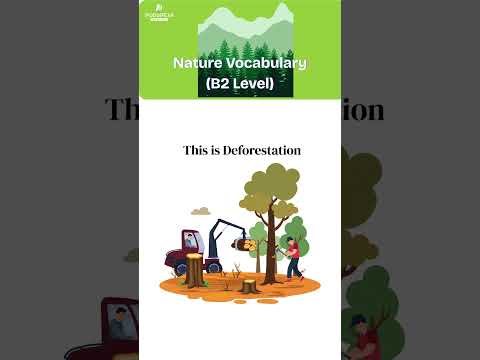 Nature Vocabulary Words You Need to Know B2 English for Real Life!