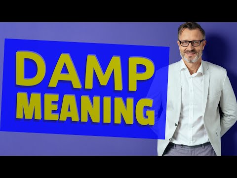 Damp | meaning of Damp