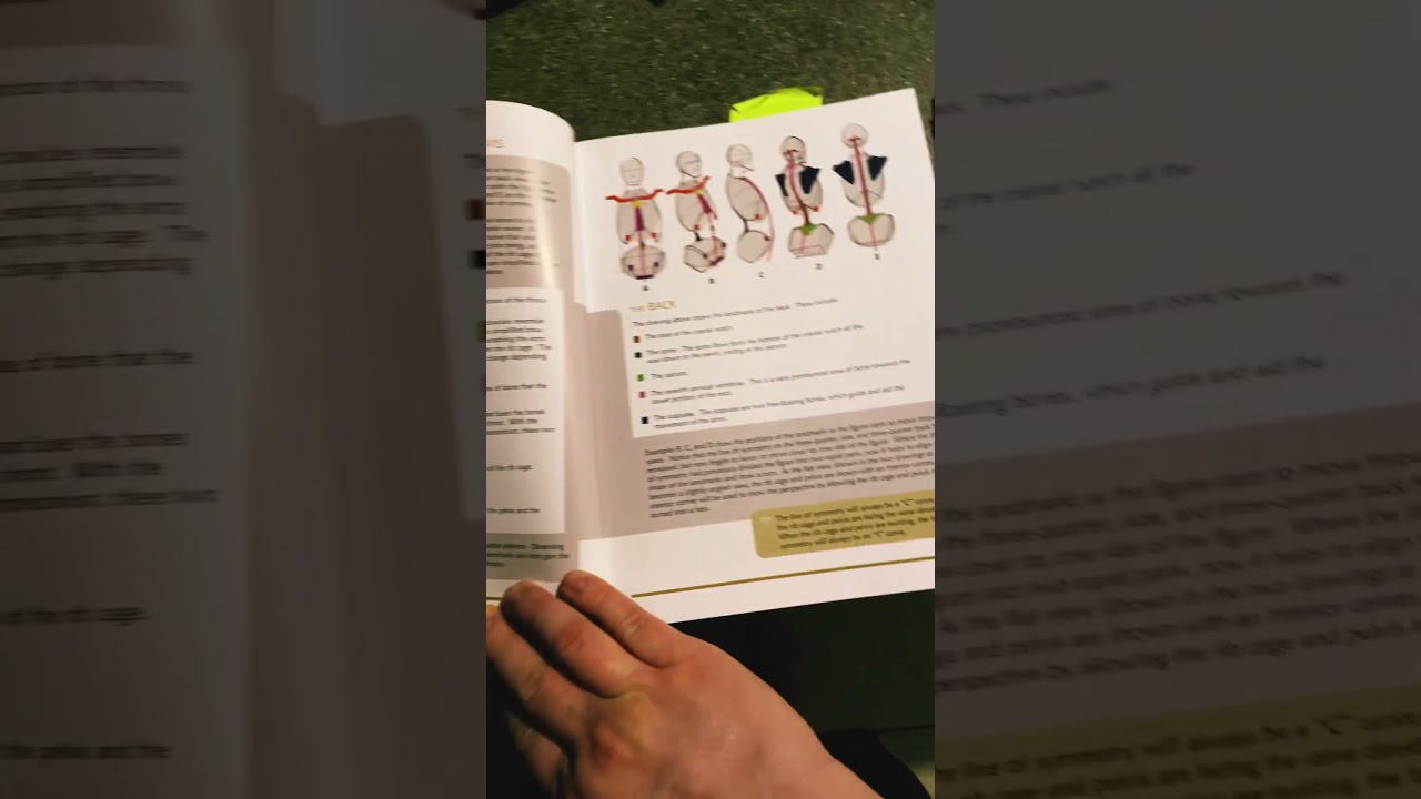 Figure Drawing by Michael Hampton - Body landmarks