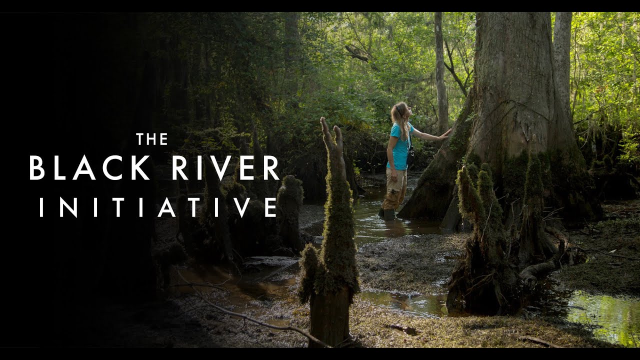 A Vision for South Carolina's Black River