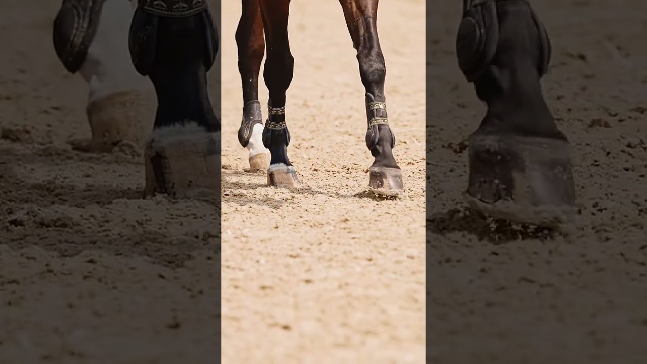 You found us on YouTube!