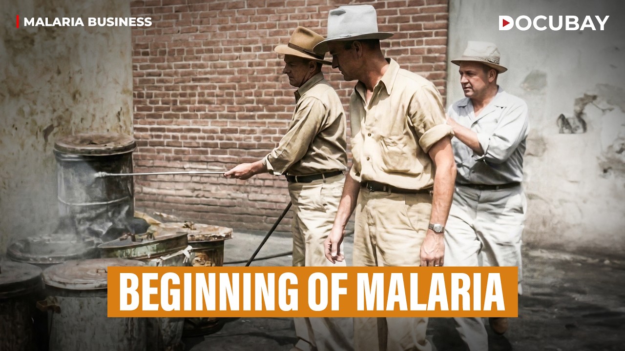 The Truth About DDT: How It Once Eradicated Malaria | Banned But Effective? | Malaria Business