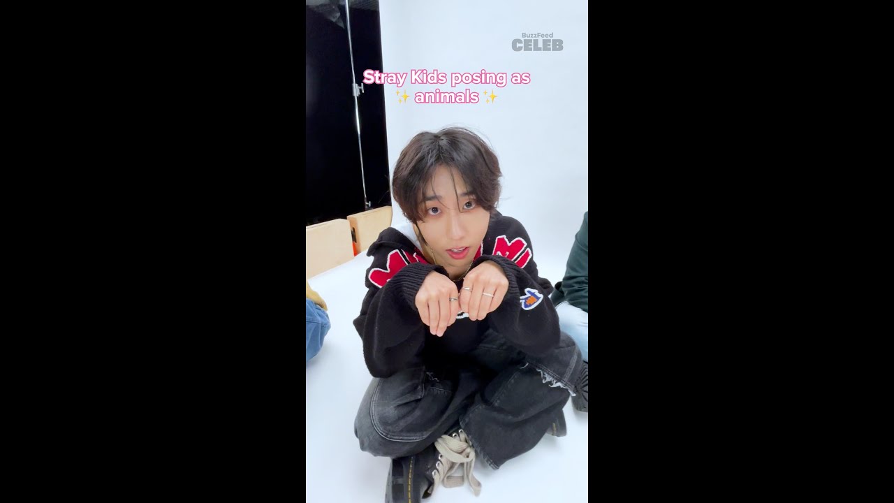 Stray Kids posing as animals 🥺