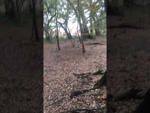 Sabal Trail Pipeline Drilling - Santa Fe River wetlands