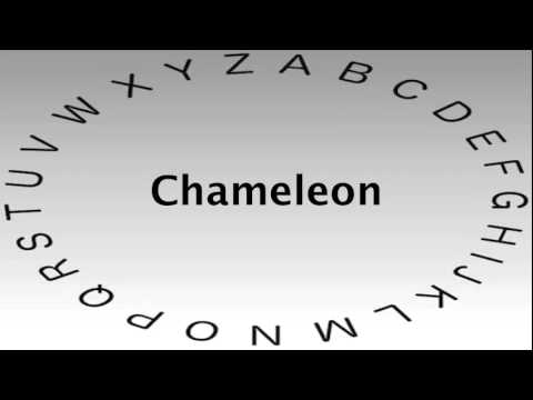 Spelling Bee Words and Definitions — Chameleon
