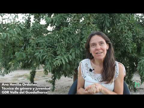 Curso anual de Facilitación de grupos en Málaga. Testimonios 1ª edición (parte 1)