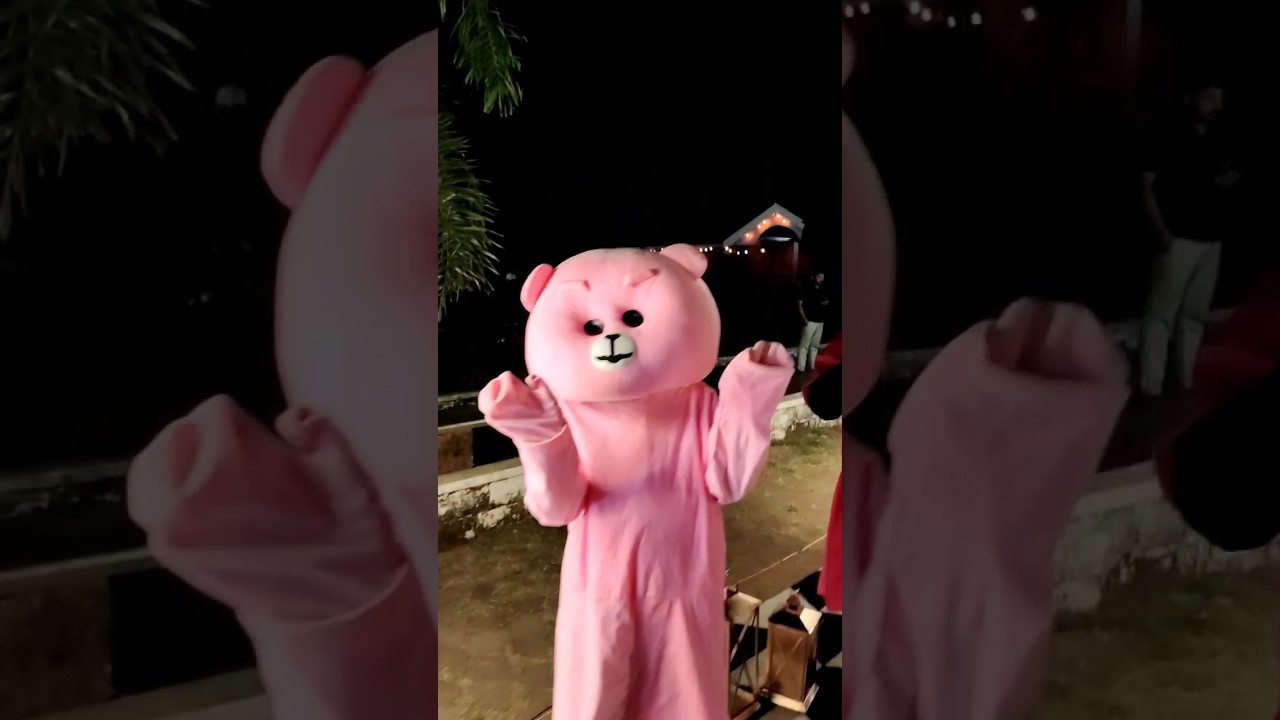 WEDDING RAMP #indianwedding #festival #celebration #party #cartoon #cute #teddy