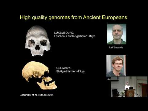 Ancient DNA Suggests Steppe Migrations Spread Indo-European Languages