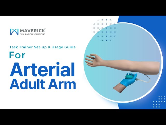 Medical Manikin - 5V DC Injection Arm Trainer Manufacturer from New Delhi