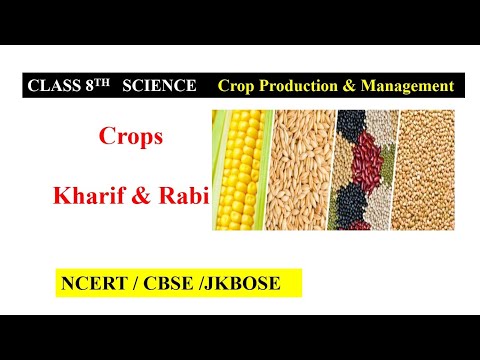 Crops in Hindi || Kharif and Rabi crops || Class 8th - Science