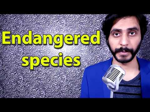 How To Pronounce Endangered species