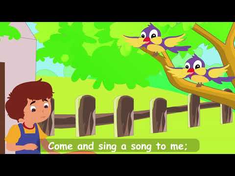 Birdie Birdie on The Tree - Animated Nursery Rhyme in English
