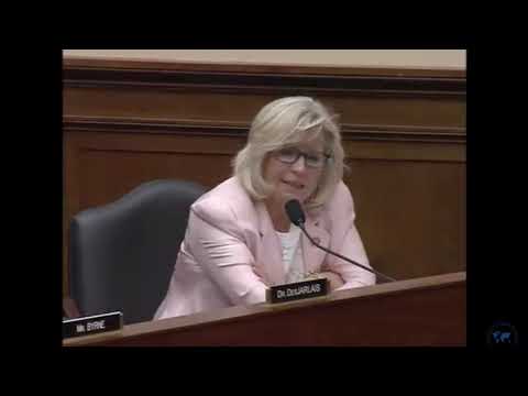 Rep. Liz Cheney speaks at the Armed Services Committee on Missile Defense
