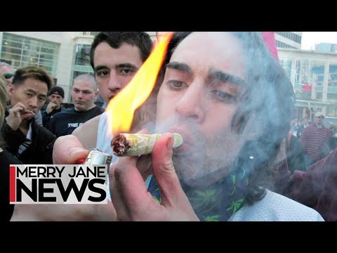 School's in Session: The Types of Stoners You Meet in College | MERRY JANE News