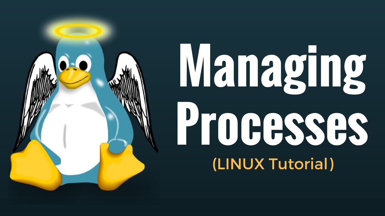 Process Management Commands (fg, bg, top, ps, kill, nice, renice, df, free) Linux Tutorial