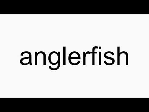 How to pronounce anglerfish