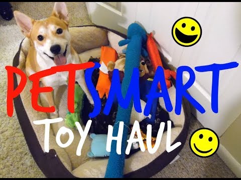 $60 PetSmart Dog Toy Haul for only $6