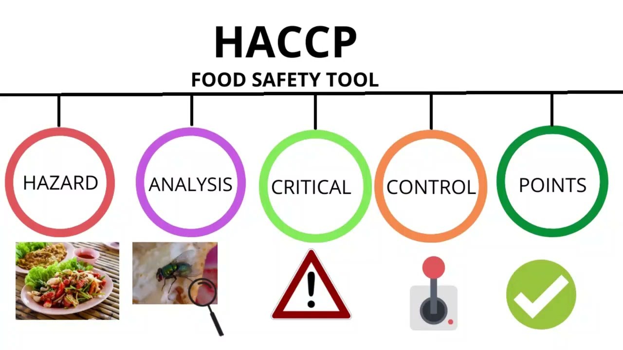 Understanding HACCP: The Seven Principles Explained | Galaxy.ai