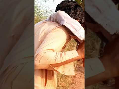dsi log movie shooting time short video #shortsvideo #utubeshort #foryou #viral