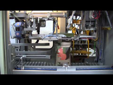 IGF 600 bagging machine for wood pellets in paper bags