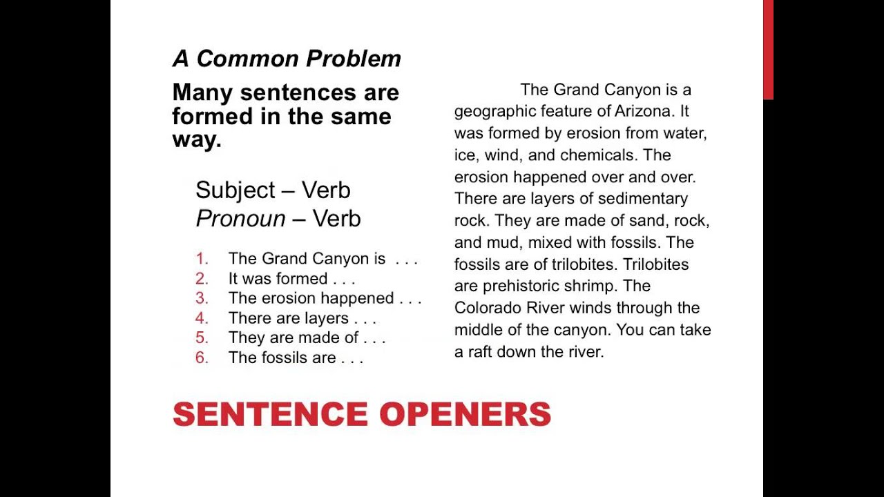 State Report Revising and Editing