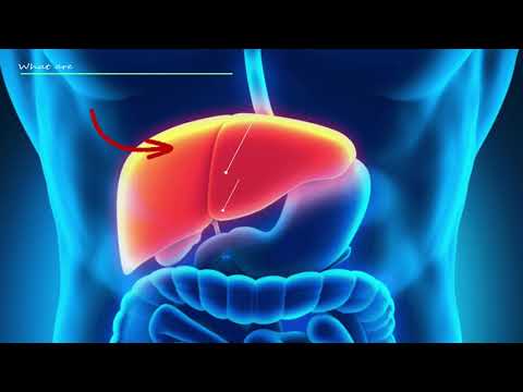 Liver Function Tests Explained : Results Explained eg ALT, AST Etc
