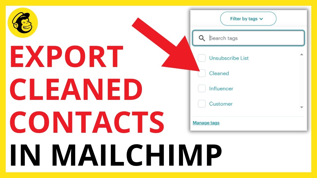 How to Export Cleaned Contacts in Mailchimp [QUICK GUIDE]