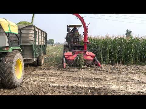 Maize Harvester at Best Price in India