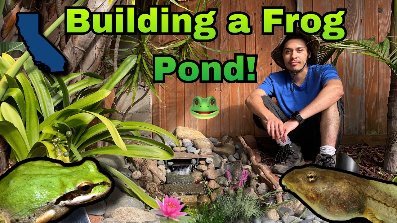 Building a Frog Pond! | Part 1