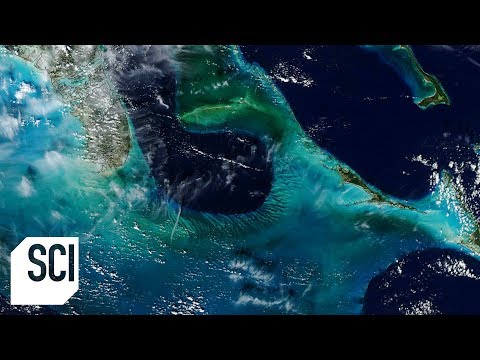 What's Behind These Strange Formations Underwater? | What on Earth?