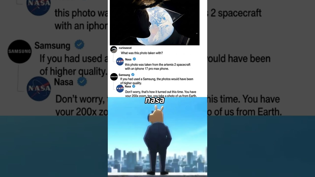 #catmemes