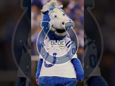 Every NFL teams mascots!