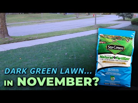 Best Organic Lawn Fertilizer for a Greener Lawn? Sta-Green Natural All Purpose Fertilizer