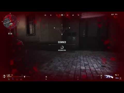 BloodHunt CrossPlay Catching Ws With Randoms