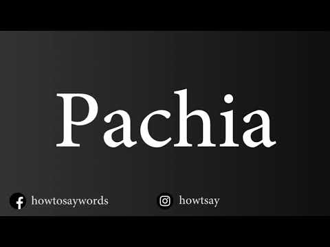 How To Pronounce Pachia