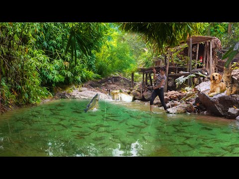 Off Grid Life - Harvesting Fish from a Wild Stream - Raise 100 fish until harvest day